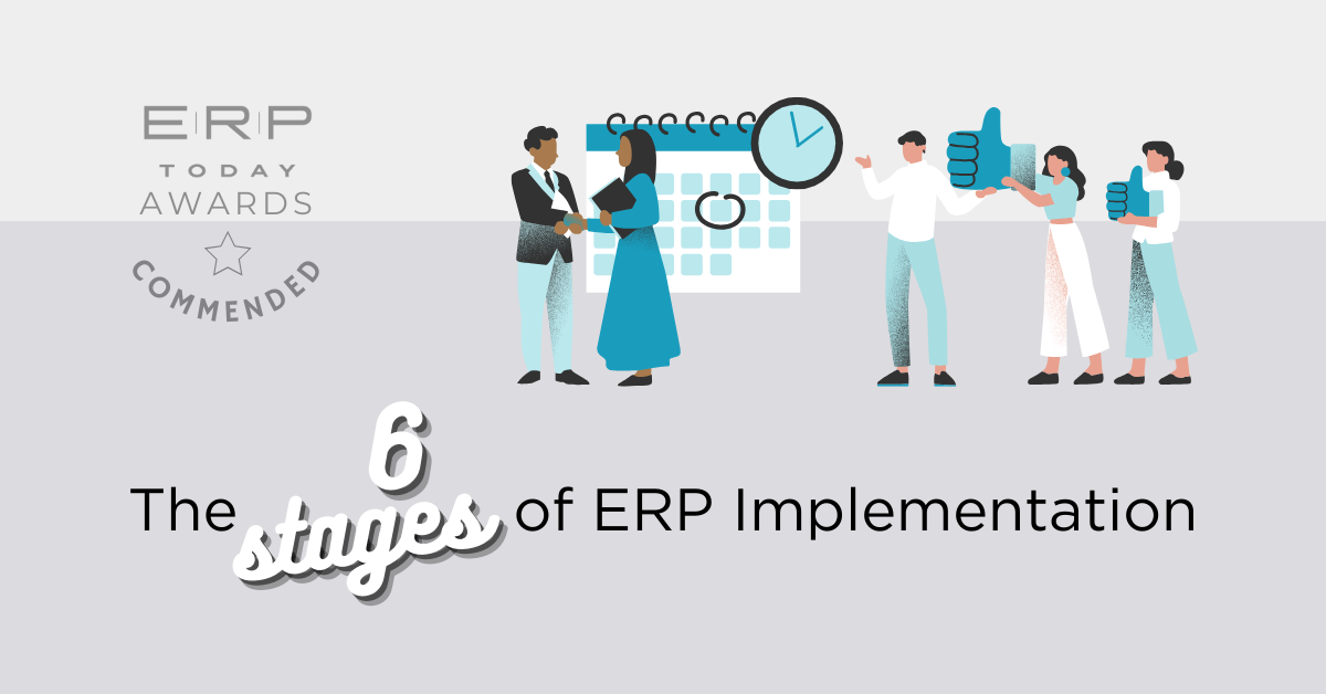 The 6 Stages of ERP Implementation: Infographic Series - Quite Laterally